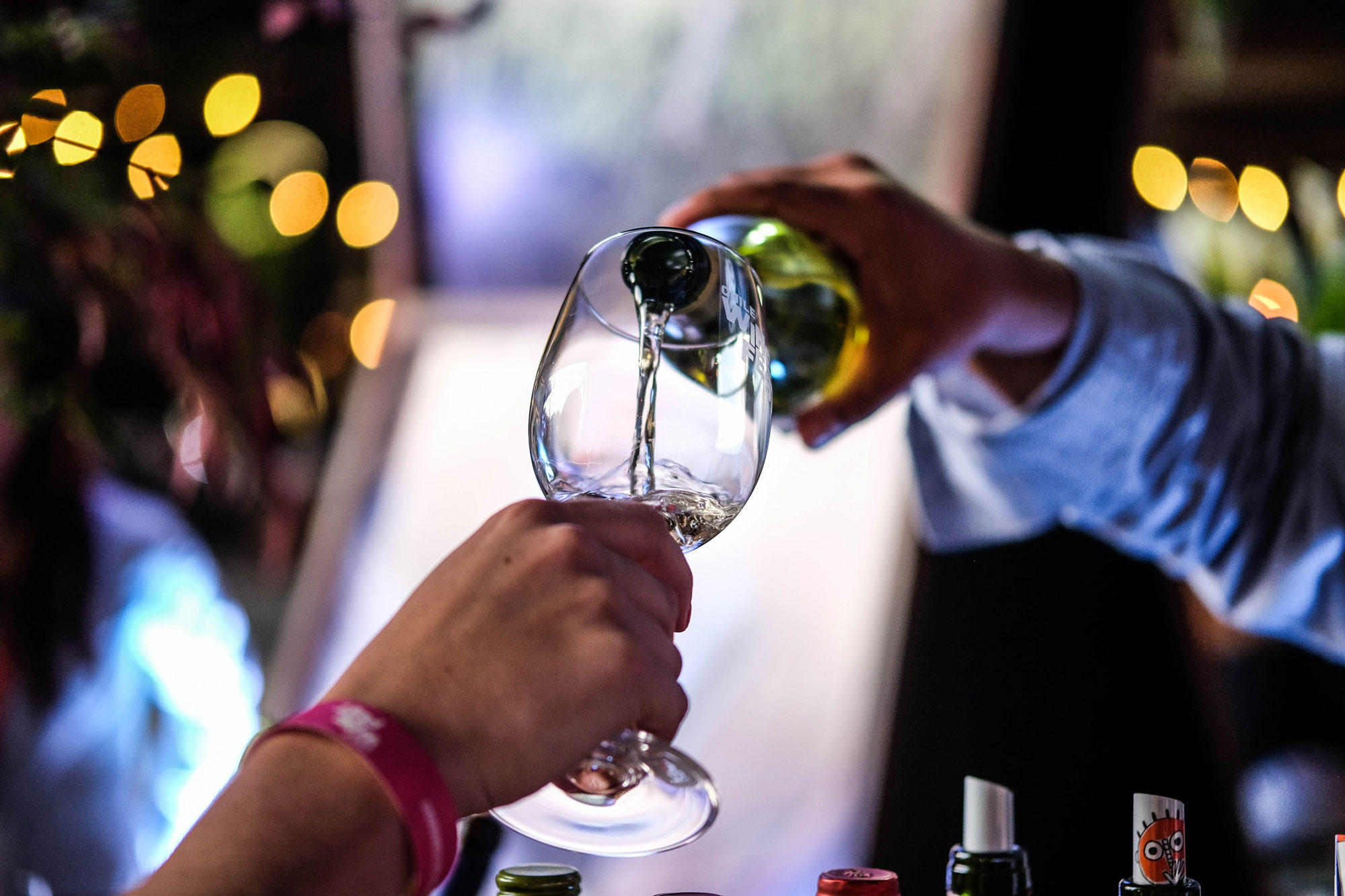 - Viu Manent - Valle de Colchagua - Chile