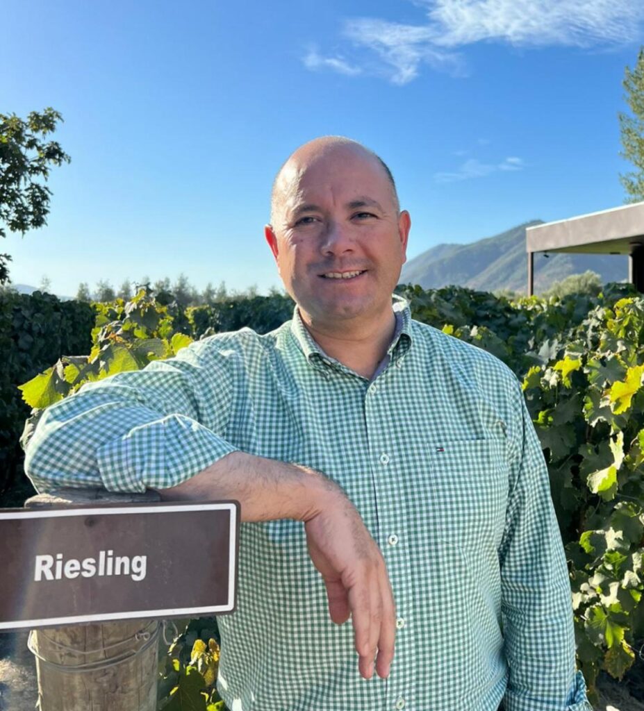 Foto Andrés Araya V. - Viu Manent - Valle de Colchagua - Chile