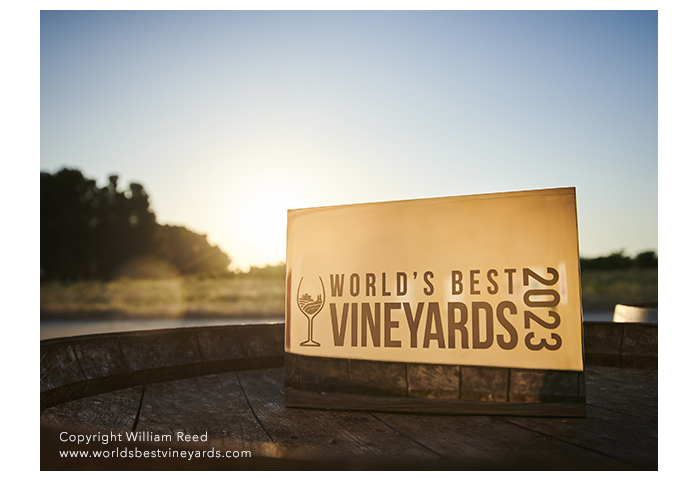 Viu Manent nuevamente reconocida entre los 50 Mejores viñedos del mundo ...